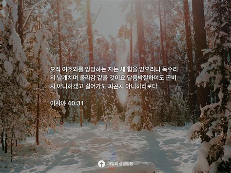 Daily Bible Inspirations