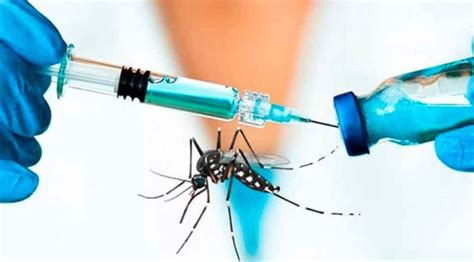 Aprueba Ue Vacuna Contra Dengue Creada Por Laboratorio Takeda El