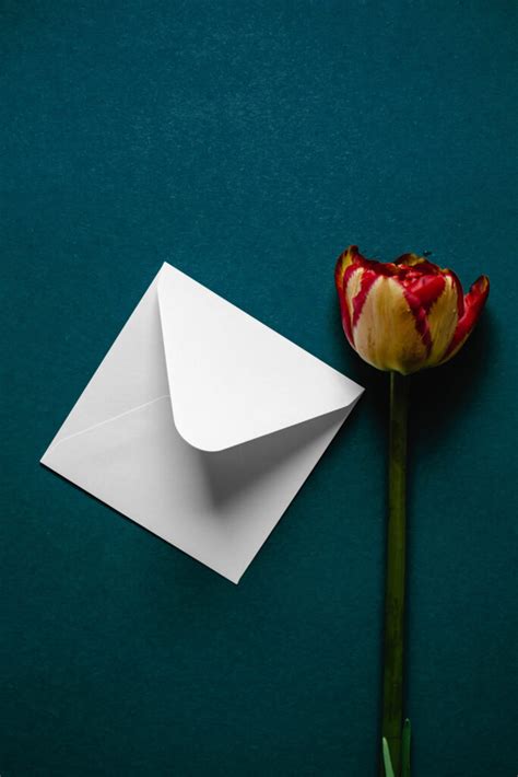 Free Envelope With Flower Mockup Mockupbee