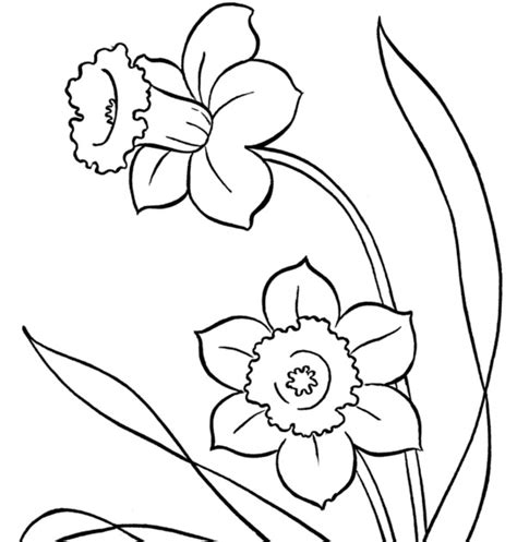 Ausmalbilder Frühling Ostern Fenster Malvorlagen Fruhling Ostern Inkl