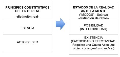 TEMA 6 LA ESTRUCTURA METAFÍSICA DEL ENTE III LA ESENCIA Y EL SER O