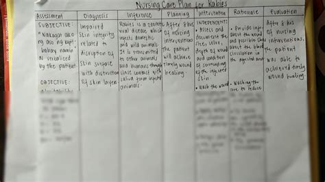 Solution Rabies Nursing Care Plan Handwritten Studypool