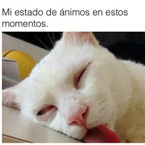 Capataz Esto es injusto Qué Yo te diré qué es injusto Nos