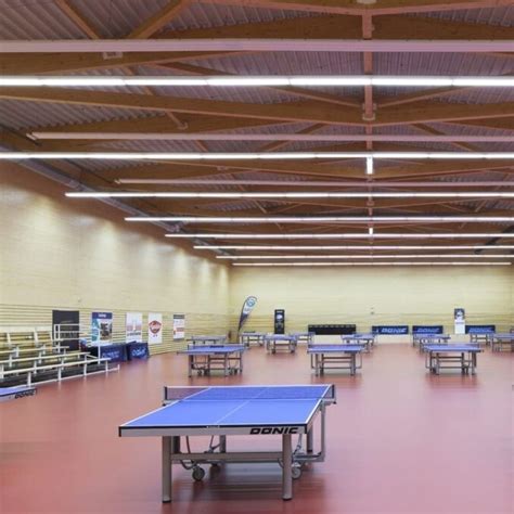 Sol Sportif En Vinyle Omnisports Tarkett Sports Indoor D
