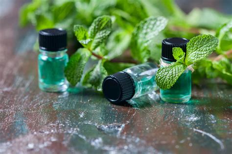 Huile essentielle de menthe poivrée Bienfaits et Utilisations