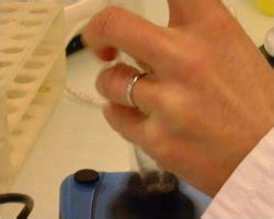 3RB Réseau Ressource Risque Biologique