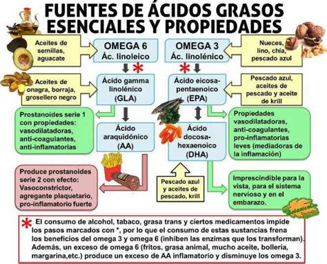 Alimentos ricos en ácidos grasos esenciales Alimentos grasos