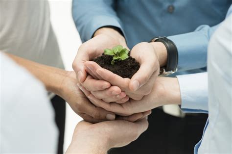 9 Razones Por Las Que Ser SOSTENIBLE Es Rentable Blog Instituto De