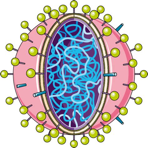 Influenza Virus Servier Medical Art