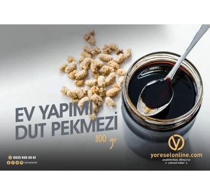 Ev Yapimi Dut Pekmezi
