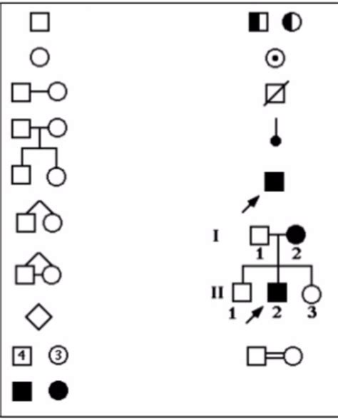 Introduction To Inheritance Mendelian And Multifactorial Conditions