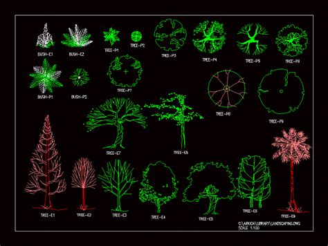 Trees Elevation Trees Blocks D Dwg Elevation For Autocad Designs Cad