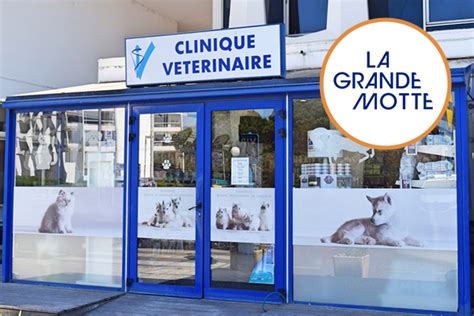 Clinique Vétérinaire du port La Grande Motte 34280