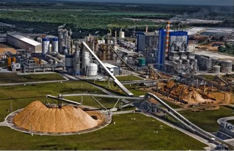 Suzano Papel e Celulose planeja investir R 2 bilhões em construção de