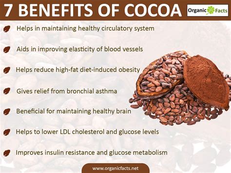 7 Benefits Of Cocoa Kisah Si Dairy