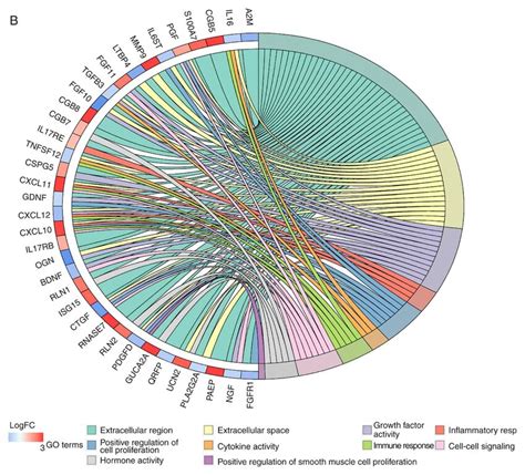 Gene Functional Enrichment Analysis Of Differentially Expressed