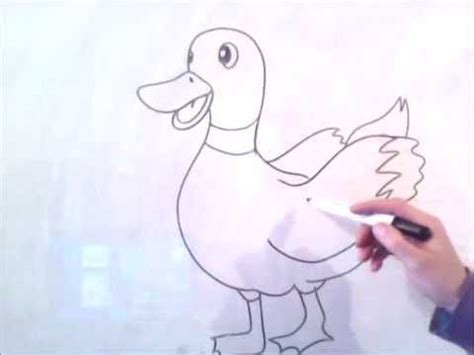 Como Dibujar Un Pato Paso A Paso Youtube