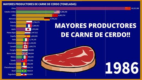 Principales países productores de CARNE de CERDO YouTube
