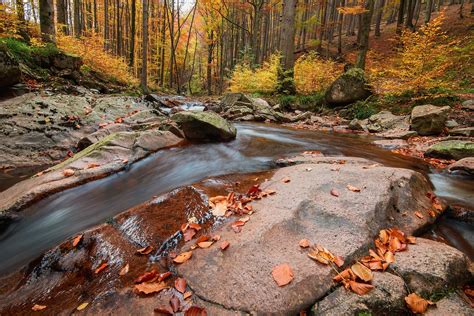 Ilse Tal Fluss Bachlauf Kostenloses Foto Auf Pixabay Pixabay