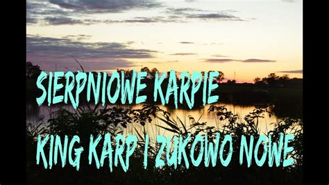 Sierpniowe karpie z łowiska King Karp i Żukowo Nowe YouTube