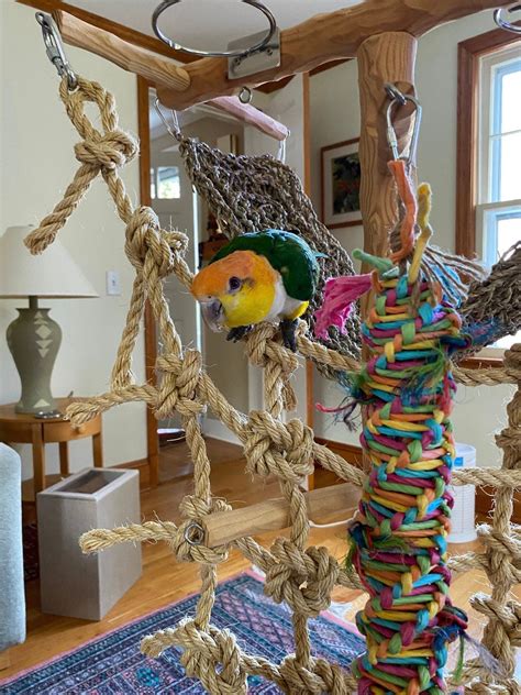 Parrot Perch High Quality Natural Bird Rope Climbing Ladder Net Gym