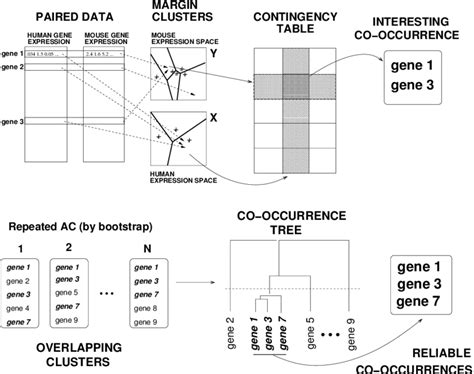 3 principle of associative clustering ac ac performs simultaneous download scientific