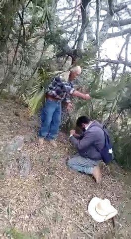 Limpa Para Borrachos Youtube