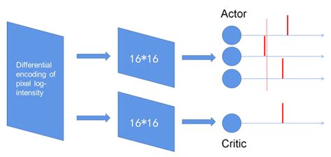 applied sciences free full text an implementation of actor critic algorithm on spiking