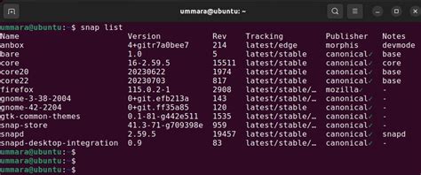 How To List Installed Packages On Linux
