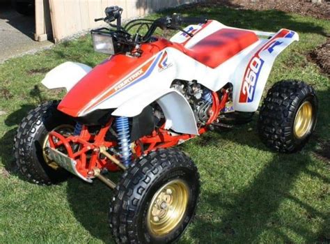 1986 Honda TRX250R FOURTRAX In 2020 Atv Quads Dirtbikes Honda