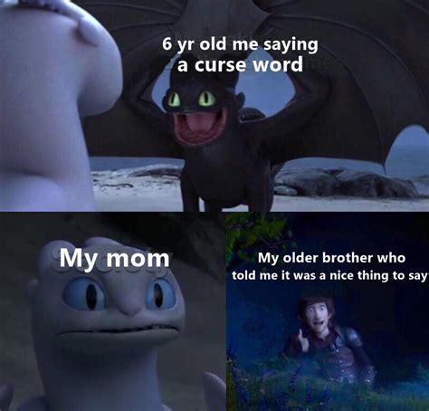 29 Funny Toothless Memes That Ll Help You Train Your Dragon With