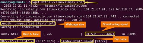 The Wget Command In Linux 14 Practical Examples
