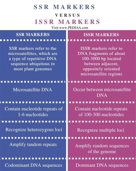 what is the difference between ssr and issr markers pediaa