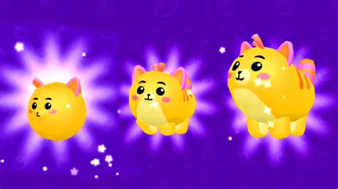 Pk Xd Evolu O No N Vel M Ximo Pet Gata Youtube