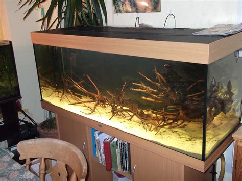 How To Set Up A Blackwater Aquarium The Complete Guide