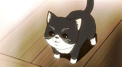 25 Iconic Cats In Anime The Ultimate Feline List FandomSpot