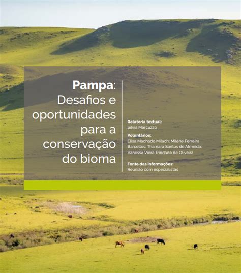 Biomas Do Brasil Pampas