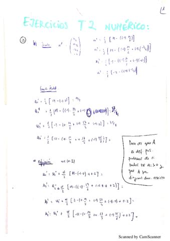 RESUELTOS Ejercicios Tema 2 Numerico II Pdf