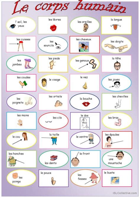 117 Corps humain Français FLE fiches pedagogiques pdf doc