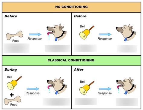 Psych Learning And Classical Conditioning Diagram Quizlet