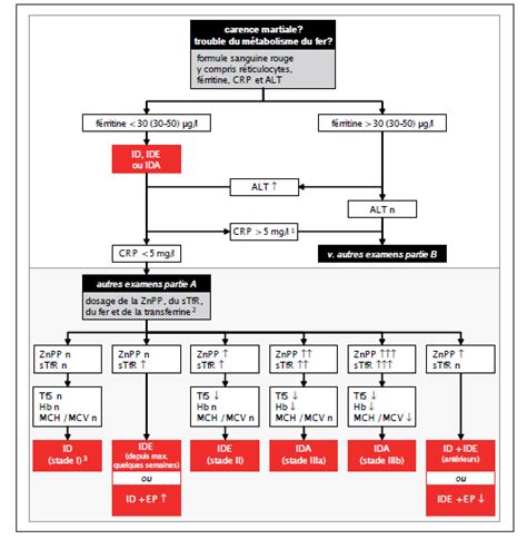 Algorithme pour l investigation des troubles du métabolisme du fer