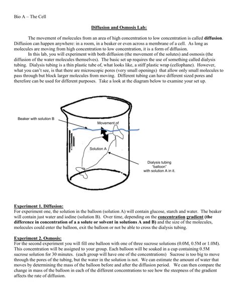 Diffusion And Osmosis Lab 2014
