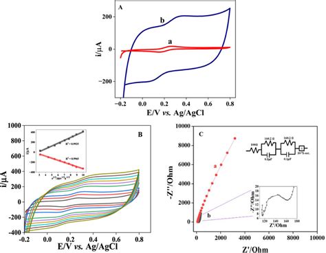 A Comparison Of Cyclic Voltammetric Responses Of Bare A As Well As