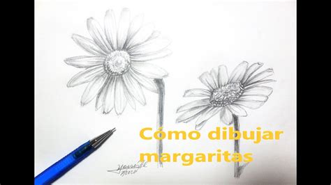 Cómo dibujar margaritas fácil How to draw a daisy flower easily