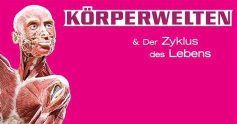 Tickets for KÖRPERWELTEN in KÖLN EHRENFELD on 07 11 2024 9 00 AM