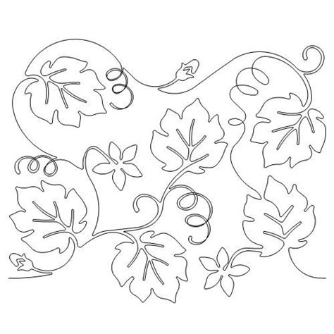 Pumpkin Vine Clipart Outline