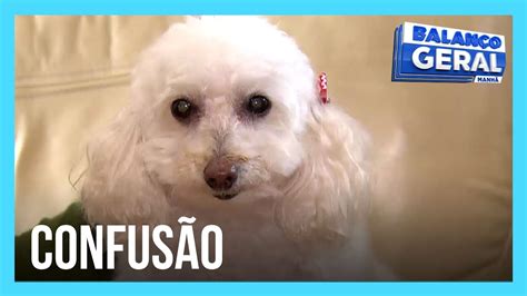 Cachorra Problemas Neurol Gicos Late Muito E Provoca Briga Entre