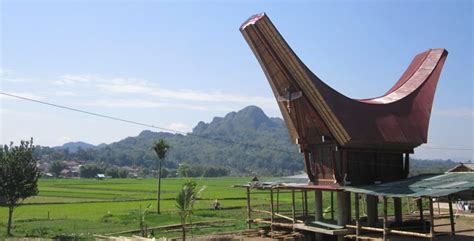 Rumah Adat Tongkonan Rumah Toraja Penuh Keunikan Blog Ruparupa