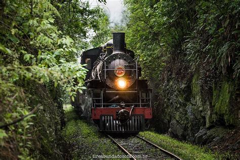 Viagens de trem no Brasil conheça os principais passeios