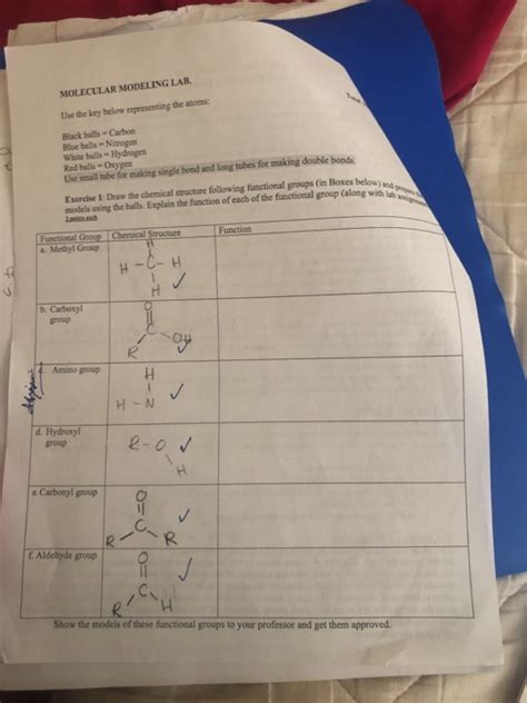 Solved MOLECULAR MODELING LAB Use The Key Below Chegg